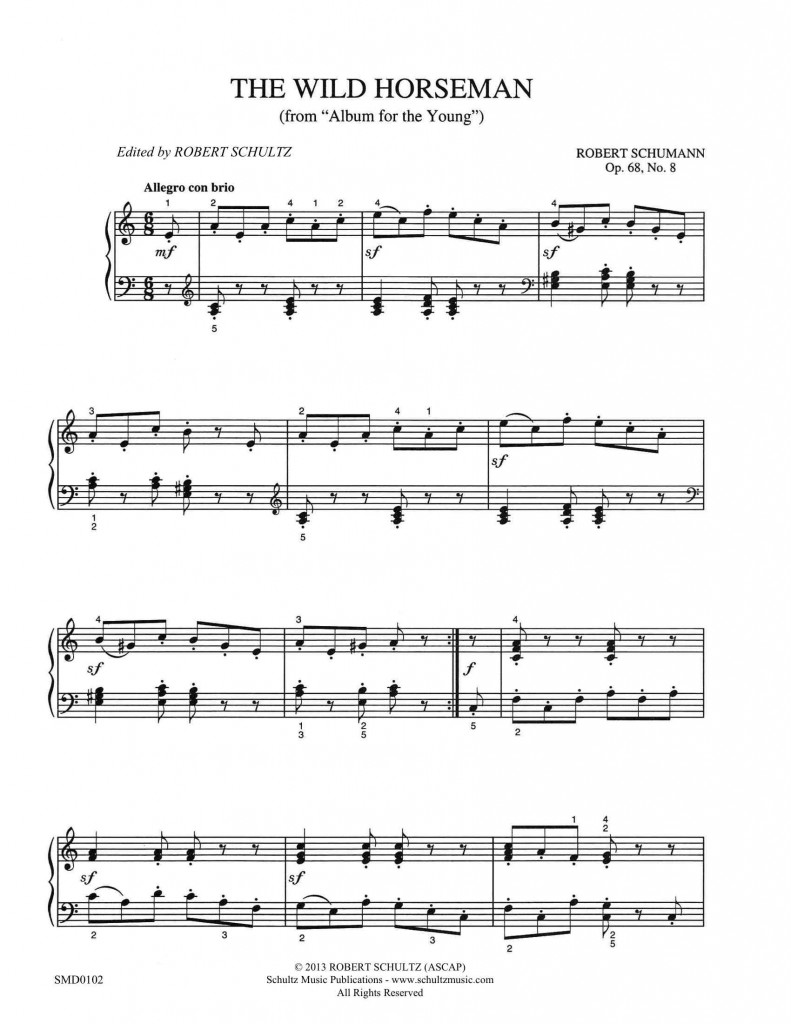 The Wild Horseman | Schultz Music Publications